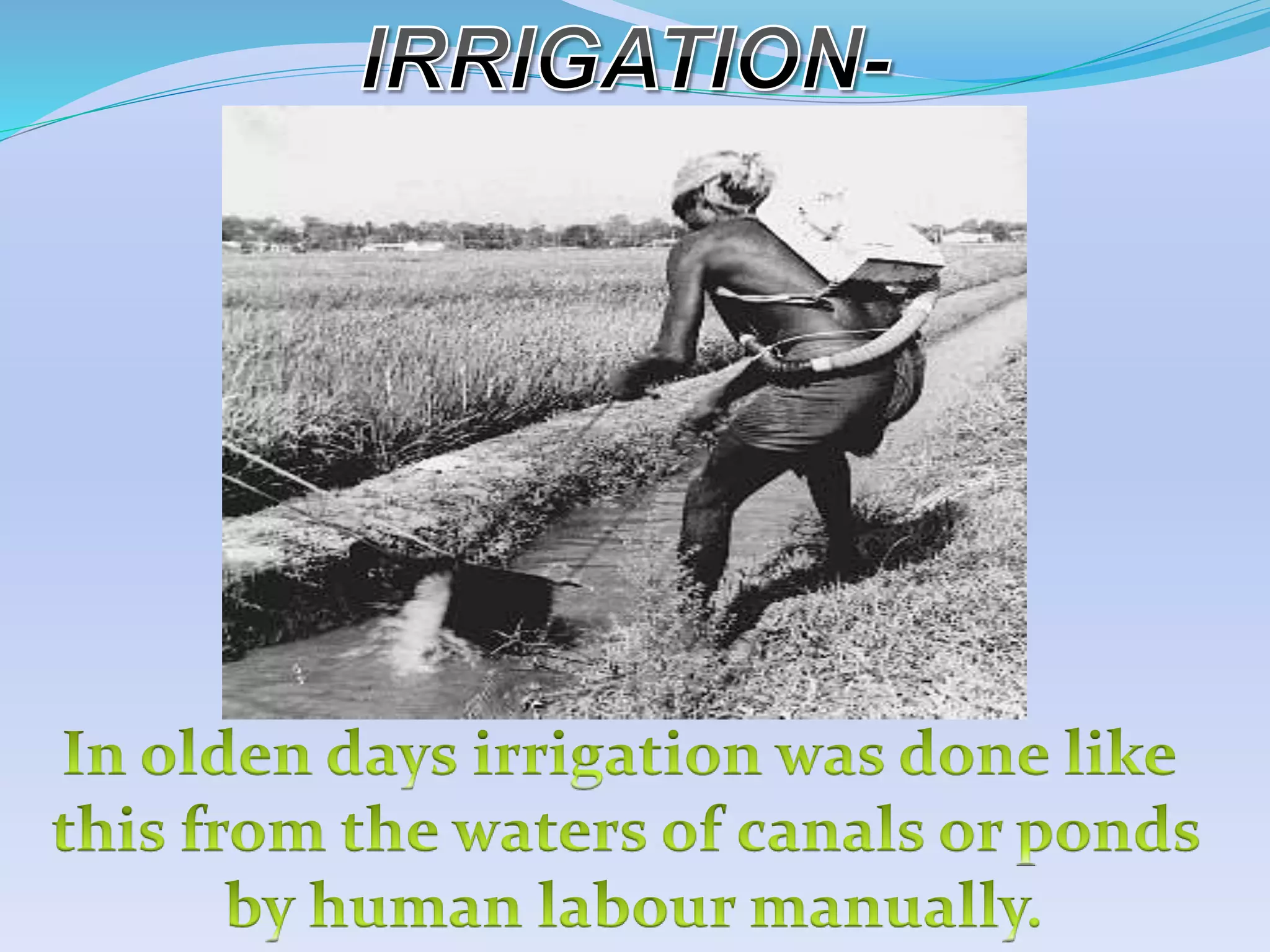 Farming-Primitive and Modern : A comparison | PPTX