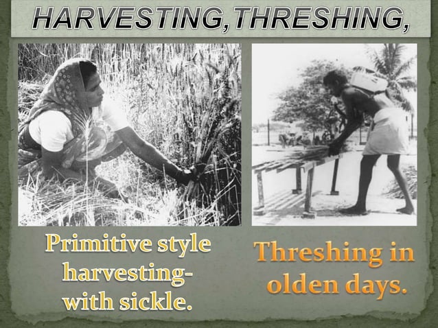 Farming-Primitive and Modern : A comparison | PPTX