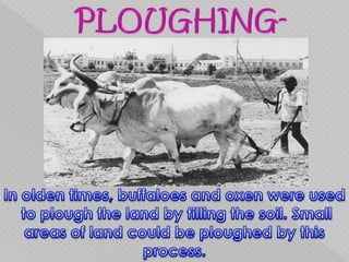 Farming-Primitive and Modern : A comparison | PPTX