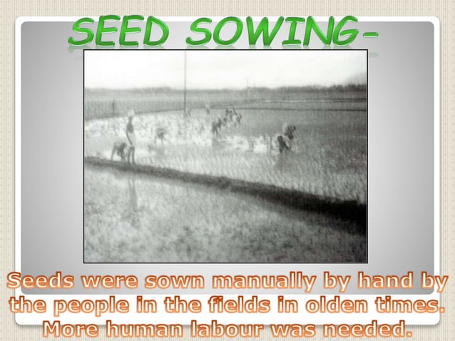 Farming-Primitive and Modern : A comparison | PPTX