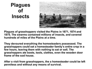 Farming the Plains - Problems | PPT