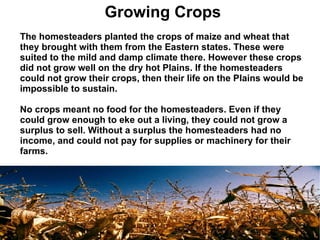 Farming the Plains - Problems | PPT