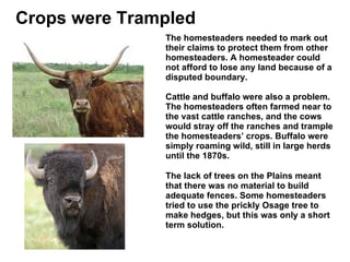 Farming the Plains - Problems | PPT