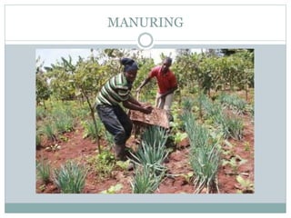 Farming activities | PPTX