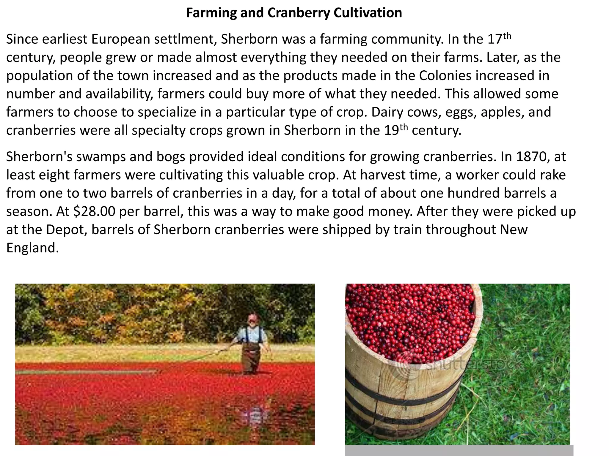 Farming and mills in old sherborn revised | PPTX | Agriculture | Industries