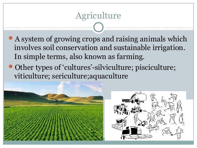 Subsistence Farming Bbc Bitesize - Farm House