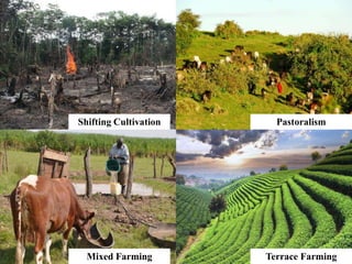 FARMING BASED LIVELIHOOD SYSTEMS LECTURE PPT | PDF