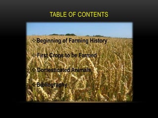 Farming inquiry | PPTX