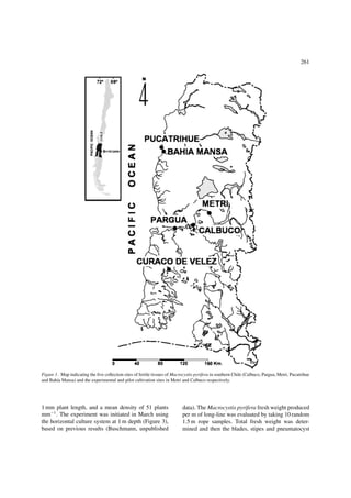 Farming of the giant kelp macrocystis pyrifera in southern chile for | PDF