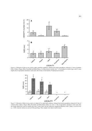 Farming of the giant kelp macrocystis pyrifera in southern chile for | PDF