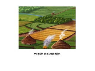Farming on big & medium farm | PPT