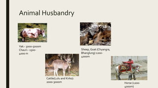 Farming System of High Hill (Mountain) in Nepal | PPTX