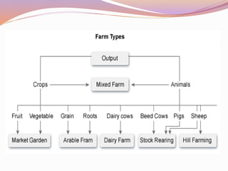 FarmingFarming systems | PPTX