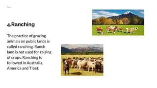 Farming systems | PPTX