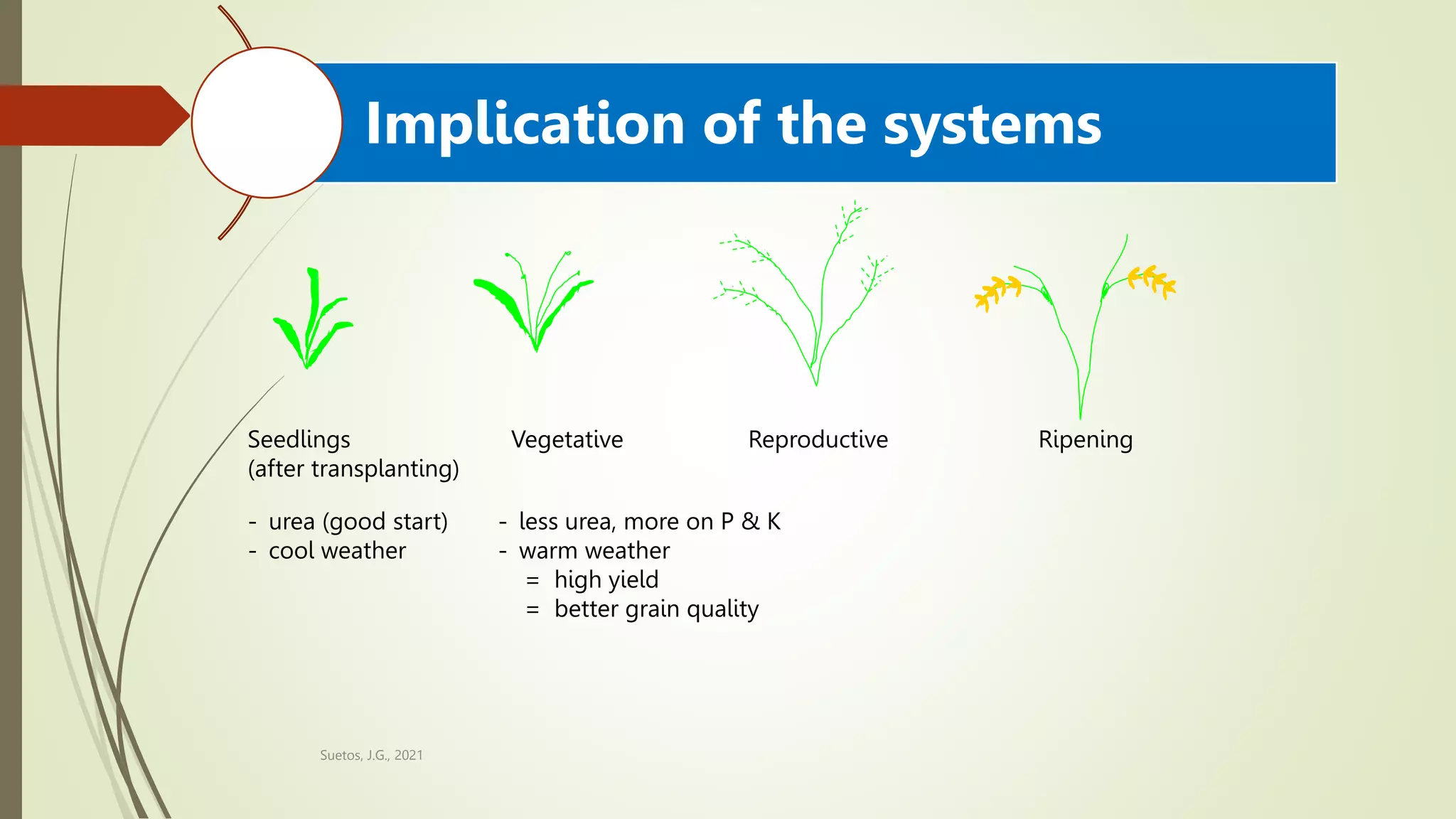 Introduction to farming system.pptx