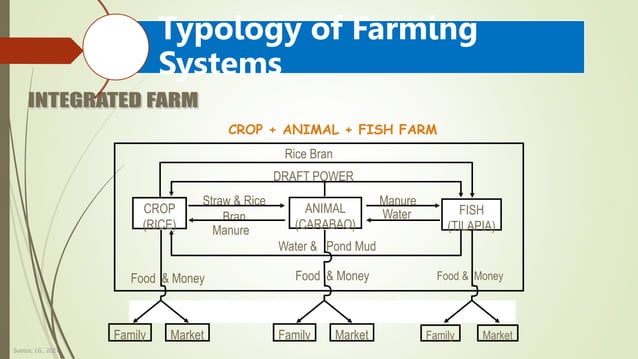 Introduction to farming system.pptx | Agriculture | Industries