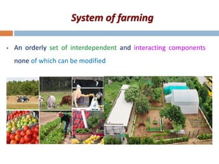 Farming system types in crop cultivation | PDF