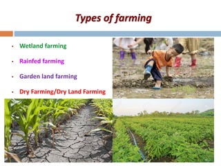 Farming system types in crop cultivation | PDF