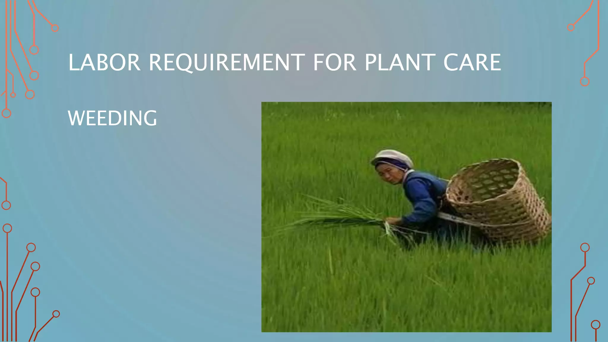 FARM INPUTS AND FARM LABOR.pptx