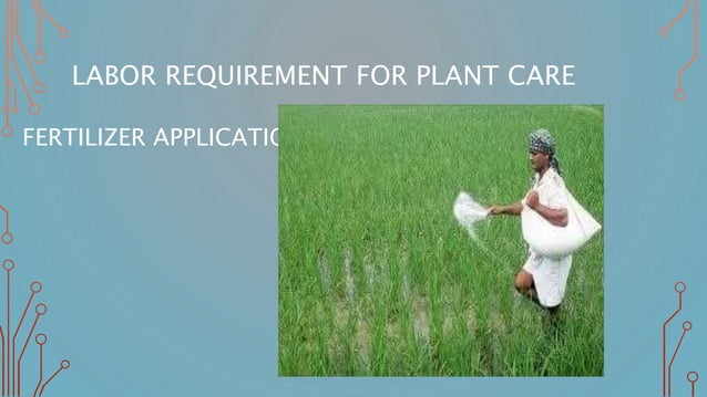 FARM INPUTS AND FARM LABOR.pptx