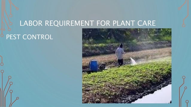 FARM INPUTS AND FARM LABOR.pptx