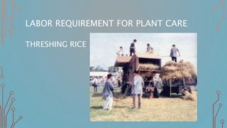 FARM INPUTS AND FARM LABOR.pptx