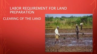 FARM INPUTS AND FARM LABOR.pptx