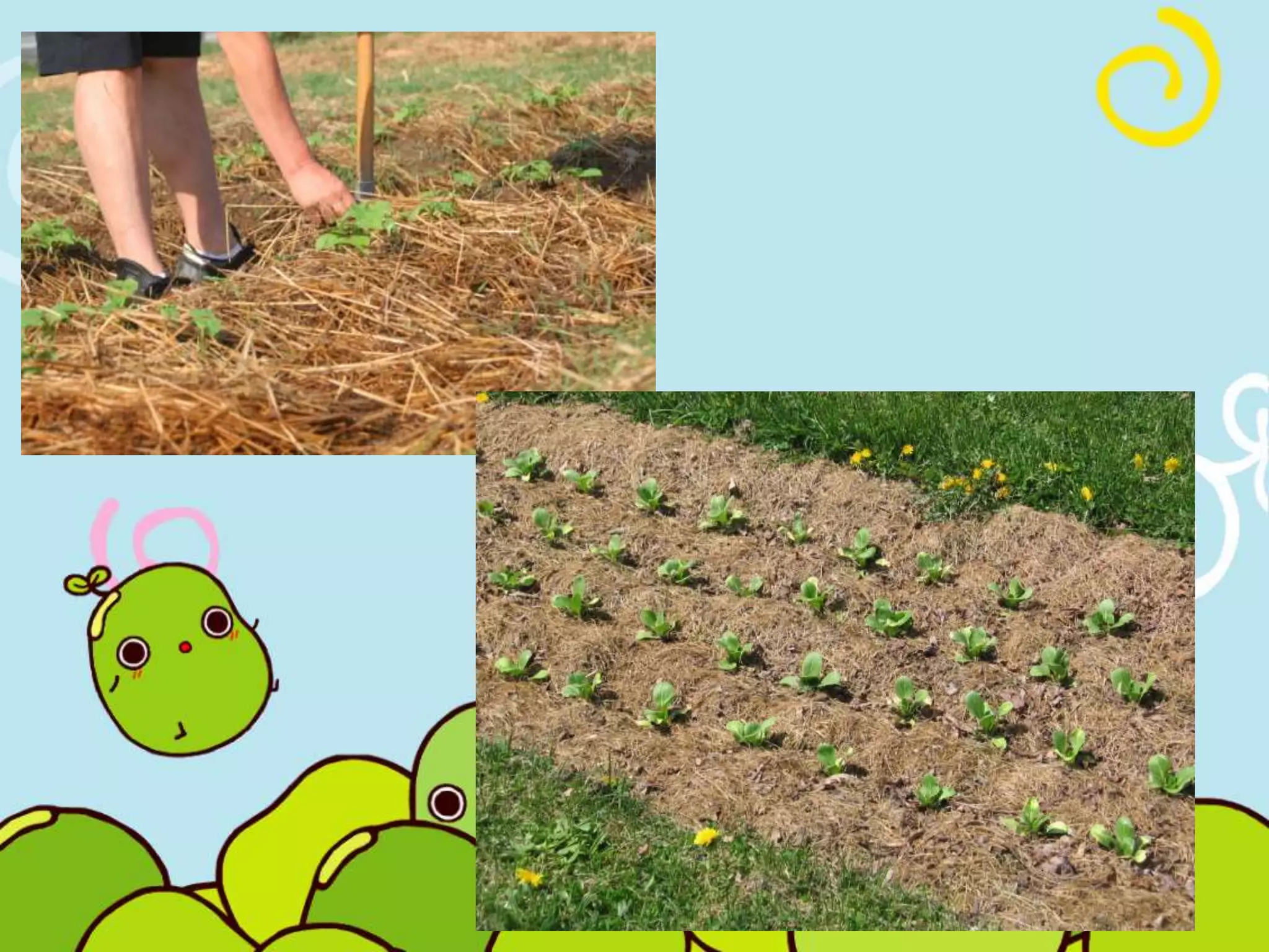 Farm inputs & farm labor | PPTX