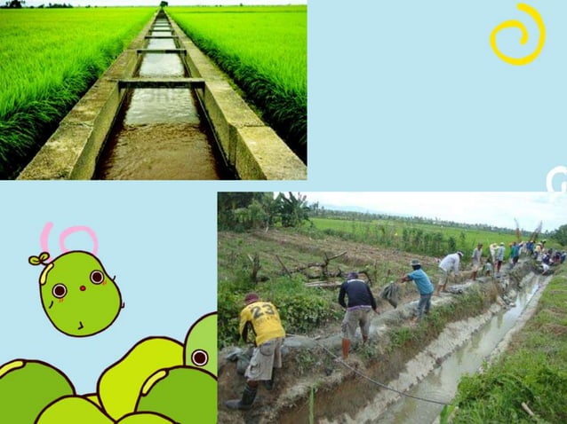 Farm inputs & farm labor | PPTX