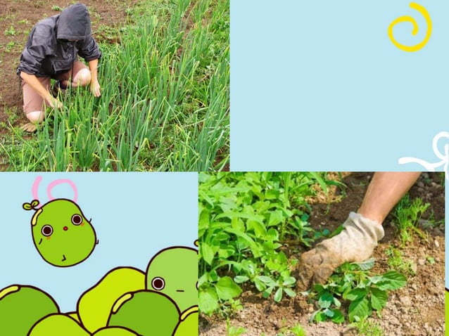 Farm inputs & farm labor | PPTX