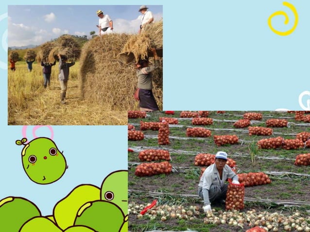 Farm inputs & farm labor | PPTX