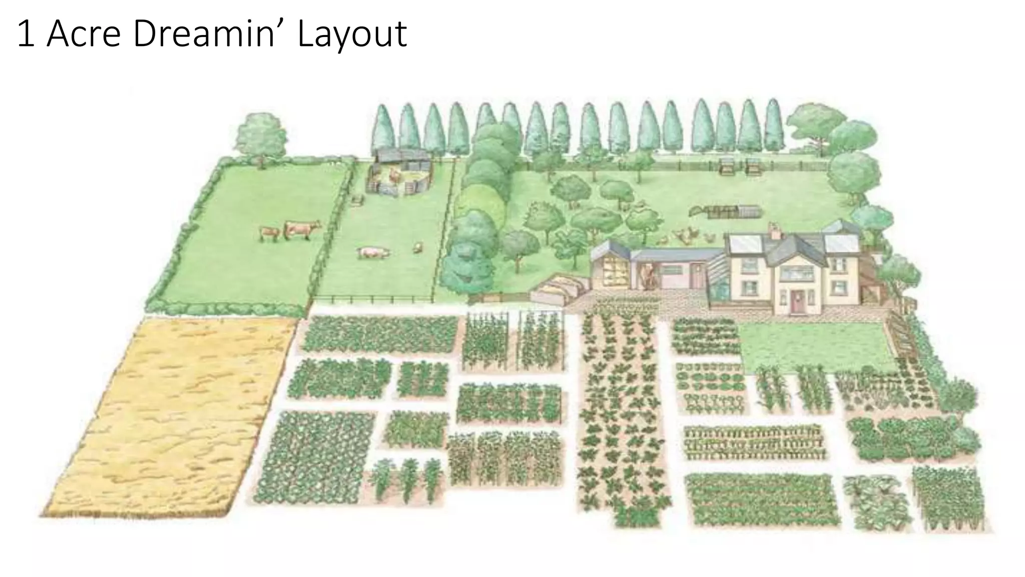 farm layout design.pptx