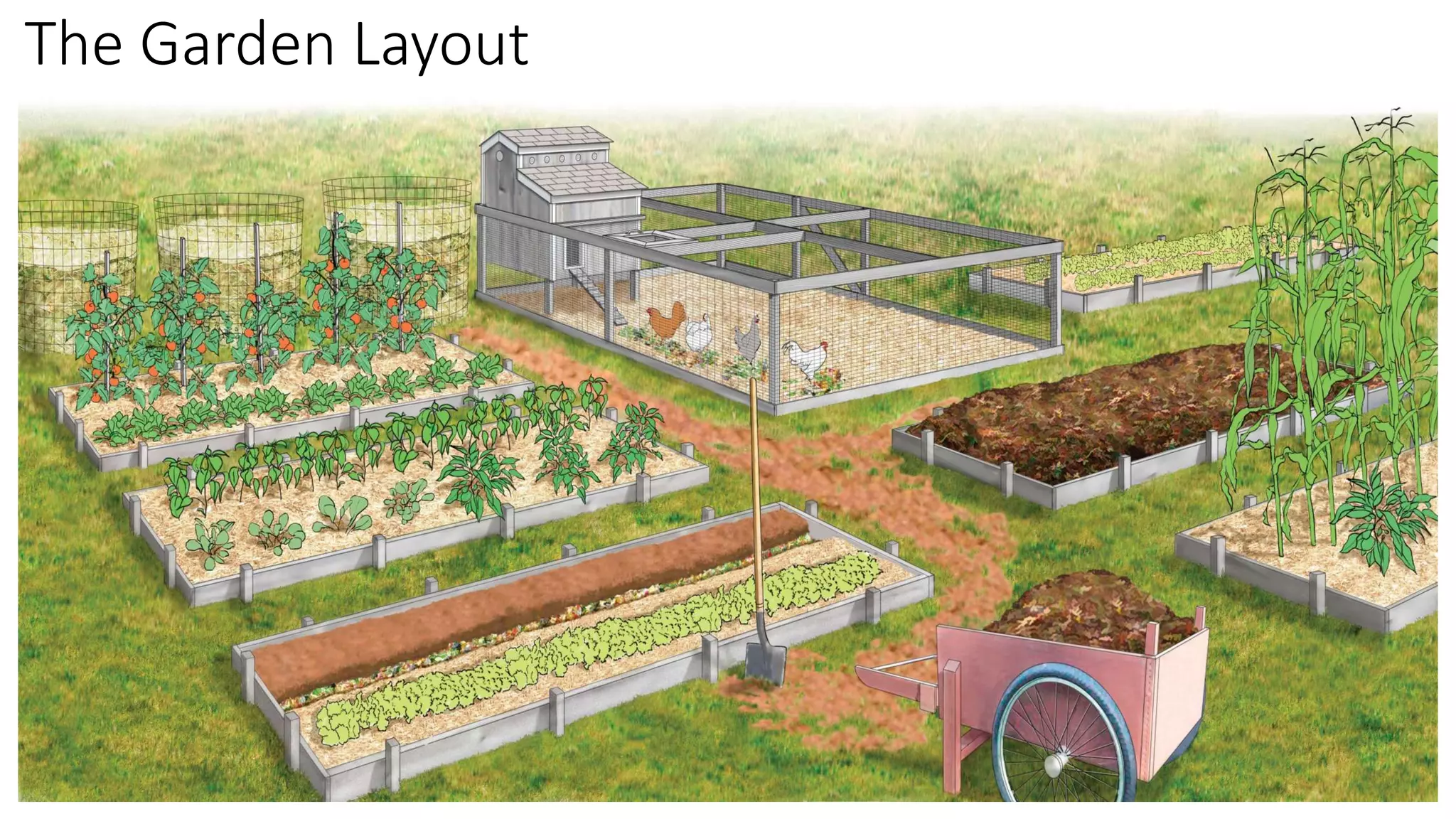 farm layout design.pptx