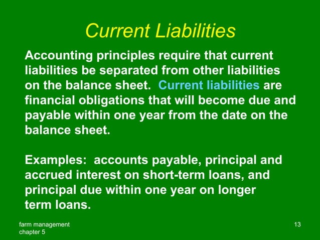 Farm Management Balance sheet and its analyis.ppt