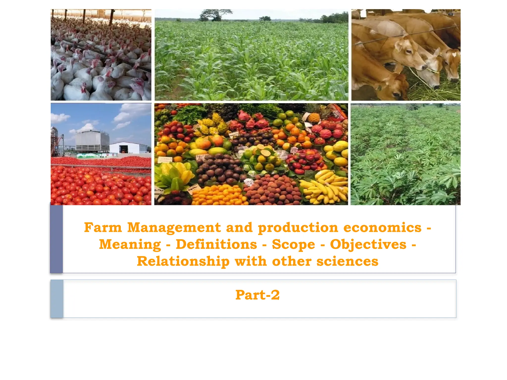 Farm Management economic presentation.pptx