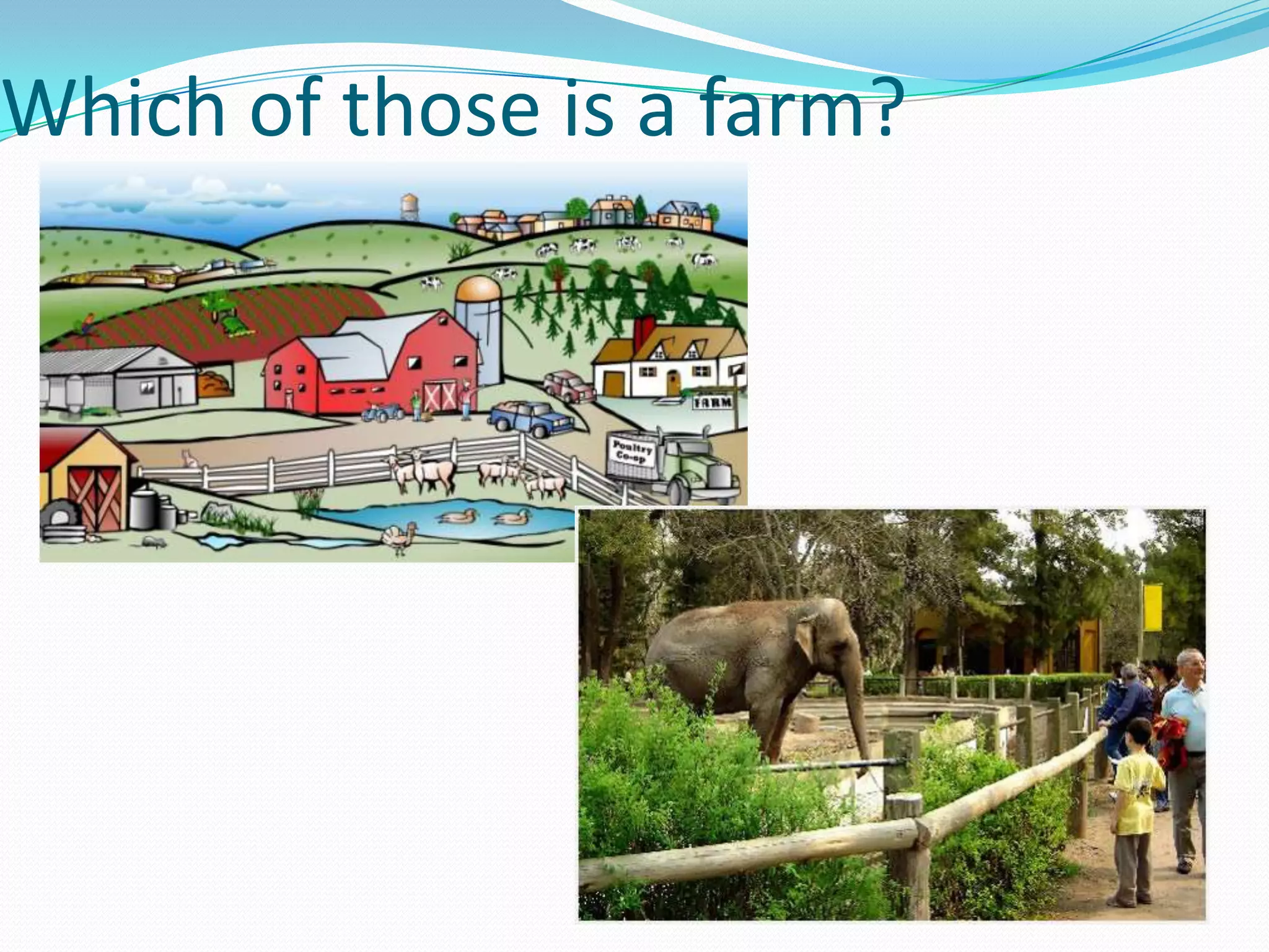 Farm or zoo | PPTX | Zoos & Aquariums | Attractions
