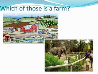 Farm or zoo | PPTX | Zoos & Aquariums | Attractions