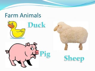 Farm or zoo | PPTX | Zoos & Aquariums | Attractions