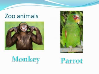 Farm or zoo | PPTX | Zoos & Aquariums | Attractions