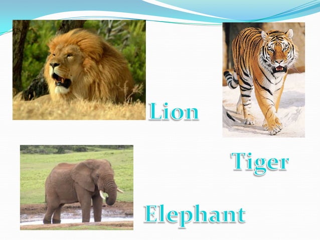 Farm or zoo | PPTX | Zoos & Aquariums | Attractions