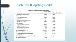 Farm planning and budgeting | PPTX