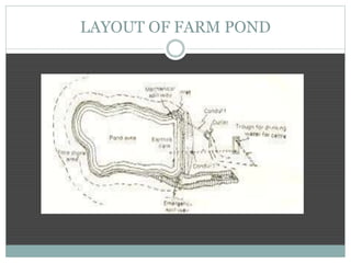 Design and construction of farm pond | PPTX | Developmental Sites ...