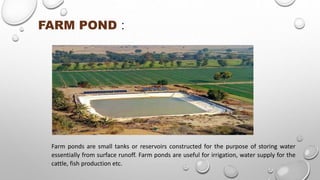 FARM POND AND Percolation POND BY agri studentsPPT.pptx | Science