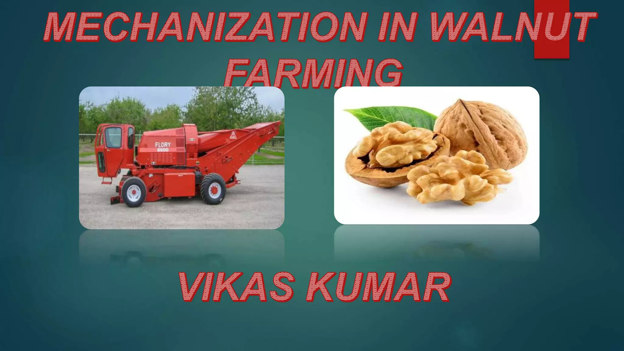 MECHANIZATION IN WALNUT FARMING | PPTX