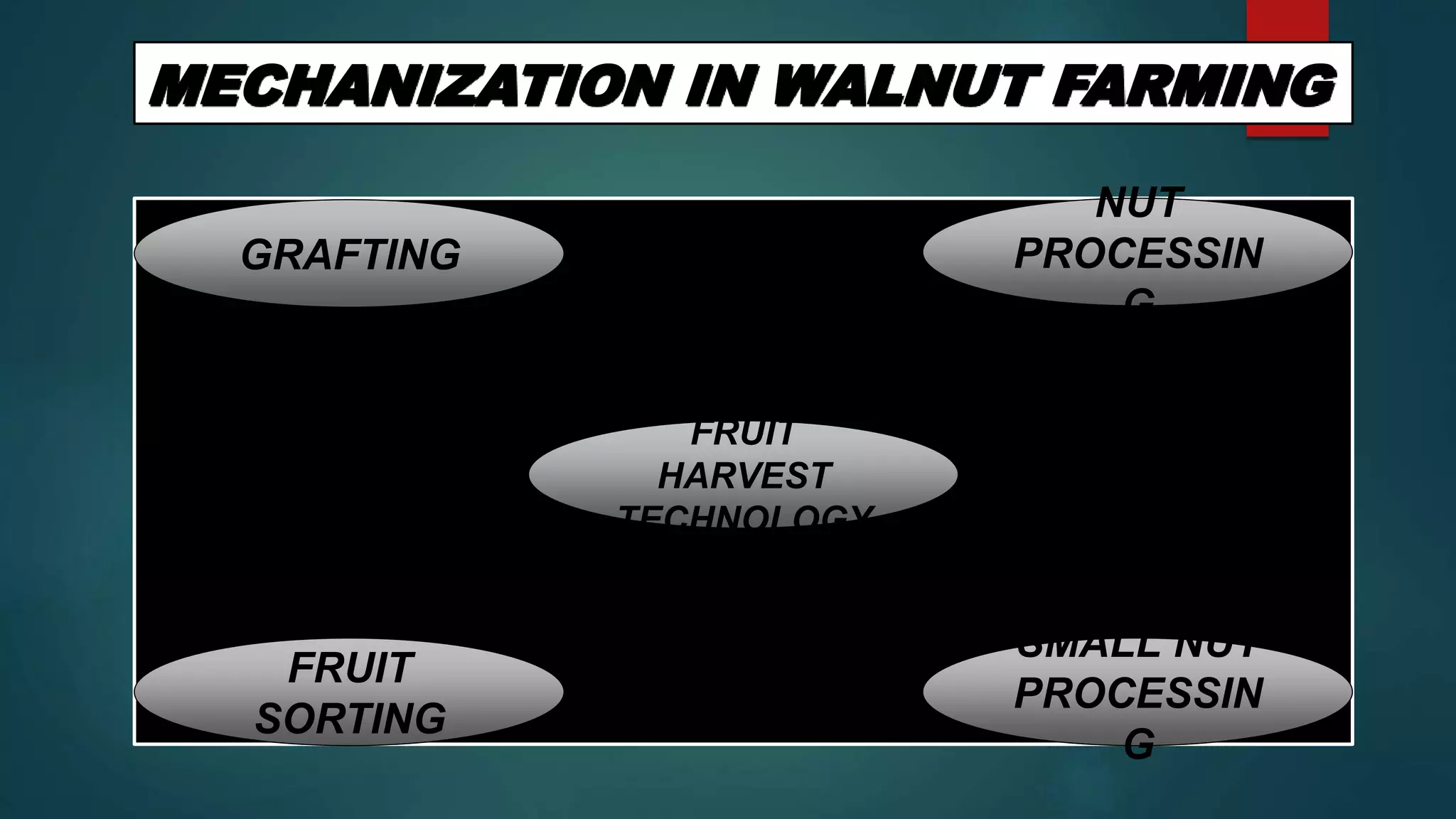 MECHANIZATION IN WALNUT FARMING | PPTX