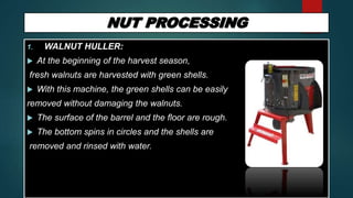 MECHANIZATION IN WALNUT FARMING | PPTX