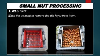 MECHANIZATION IN WALNUT FARMING | PPTX