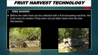 MECHANIZATION IN WALNUT FARMING | PPTX