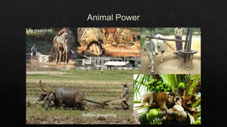 Farm Power Sources.pptx