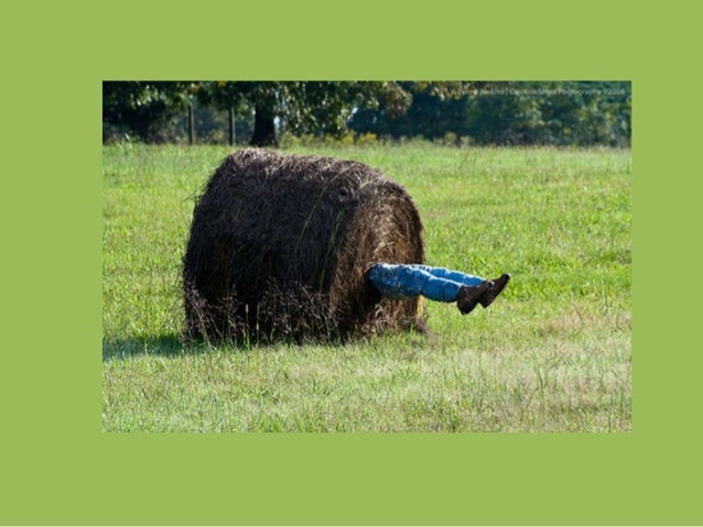 Farm-related injuries